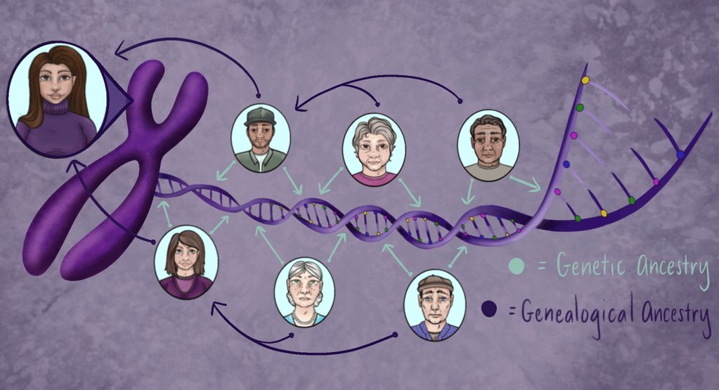 Genomics101: What is heredity and why is it so important when ...